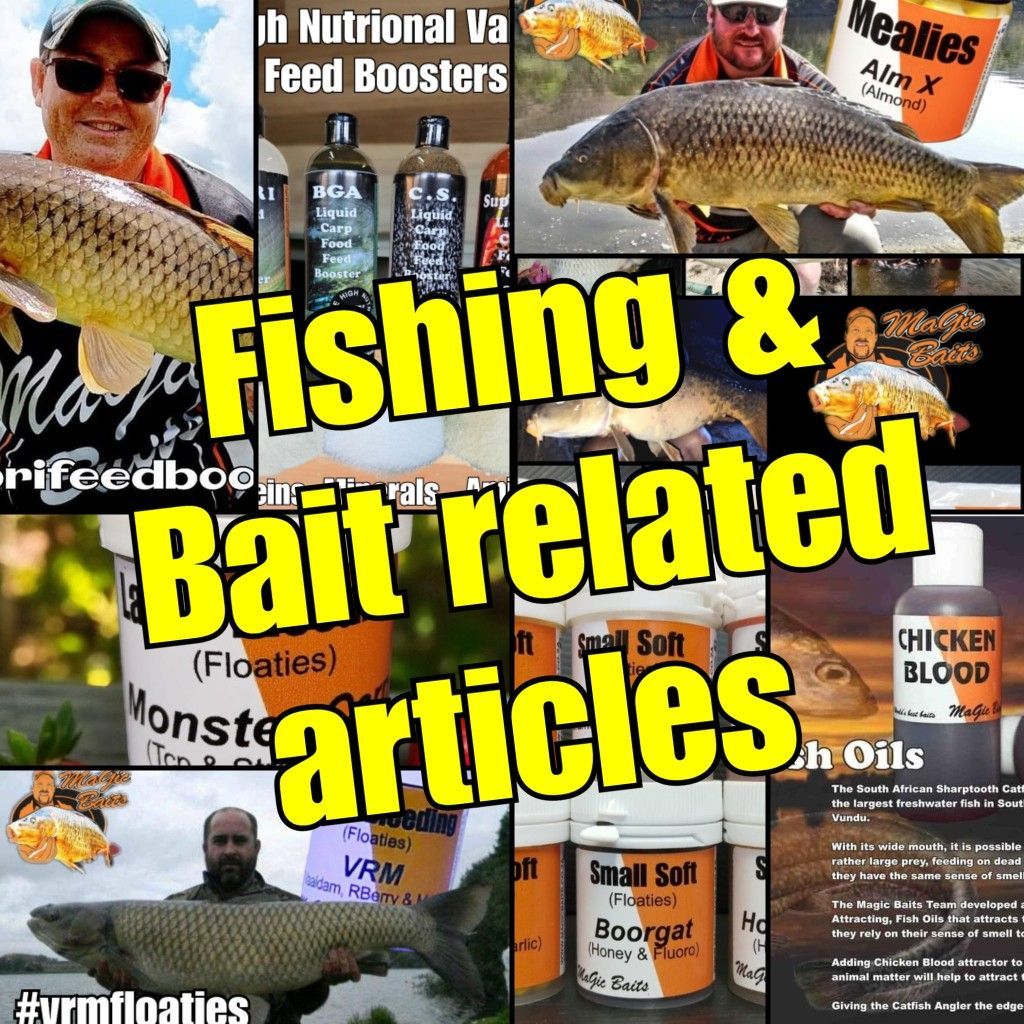 Fishing Resorts/Venues – Koster Dam Nature Resort – Magic Baits