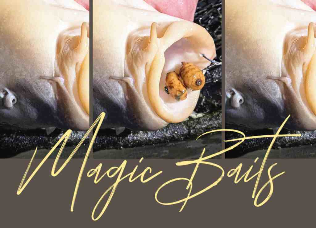 Magic Baits