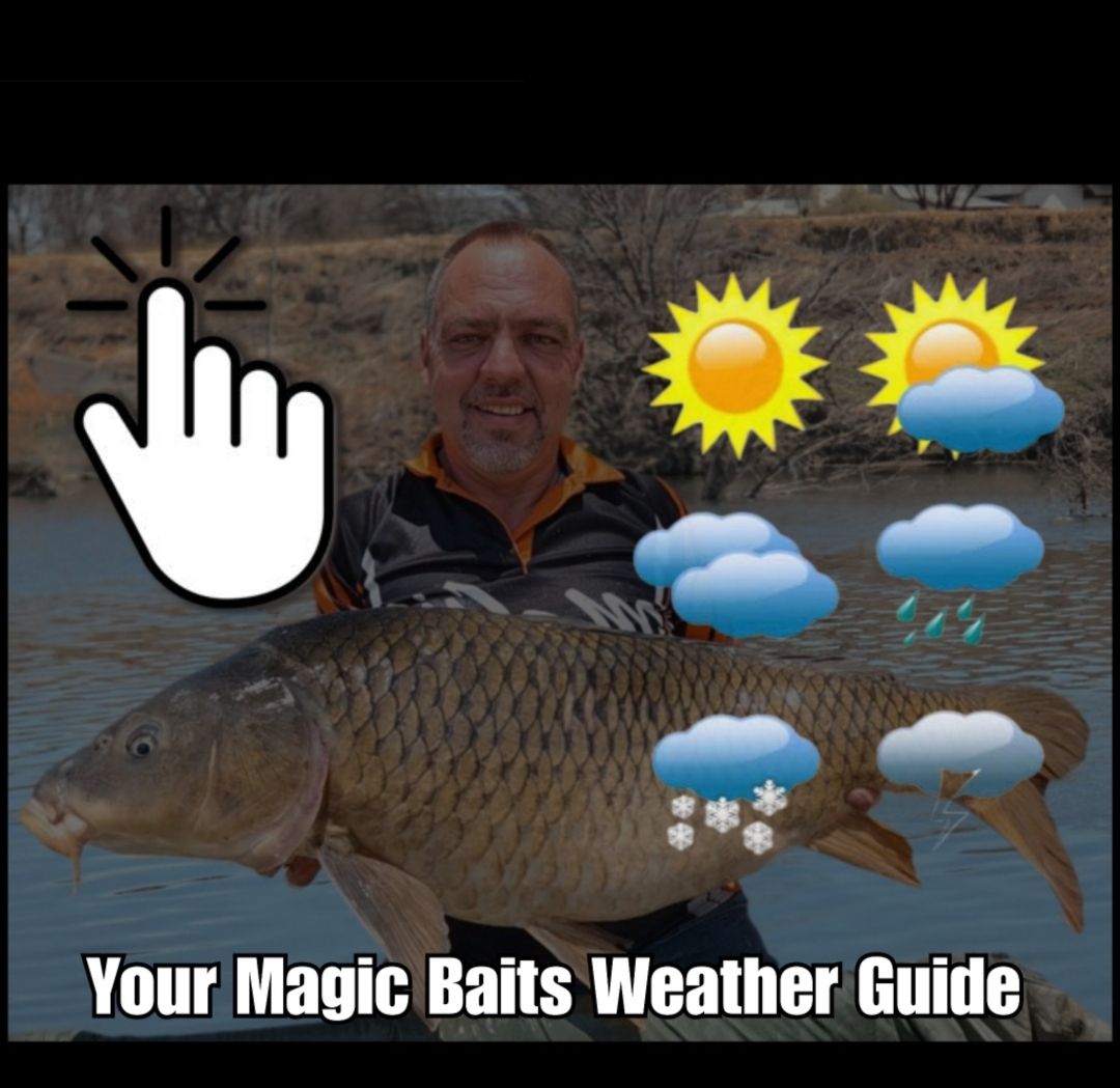 What Works Where – Klipdrift Dam – Magic Baits