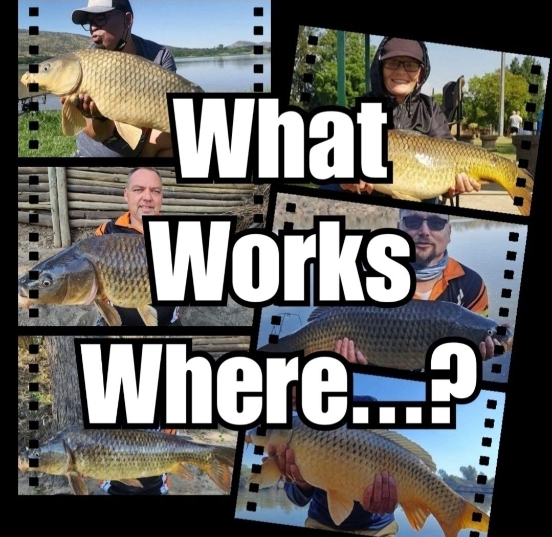 Fishing Resorts/Venues – Vaalriver – Orkney Vaal Resort – Magic Baits
