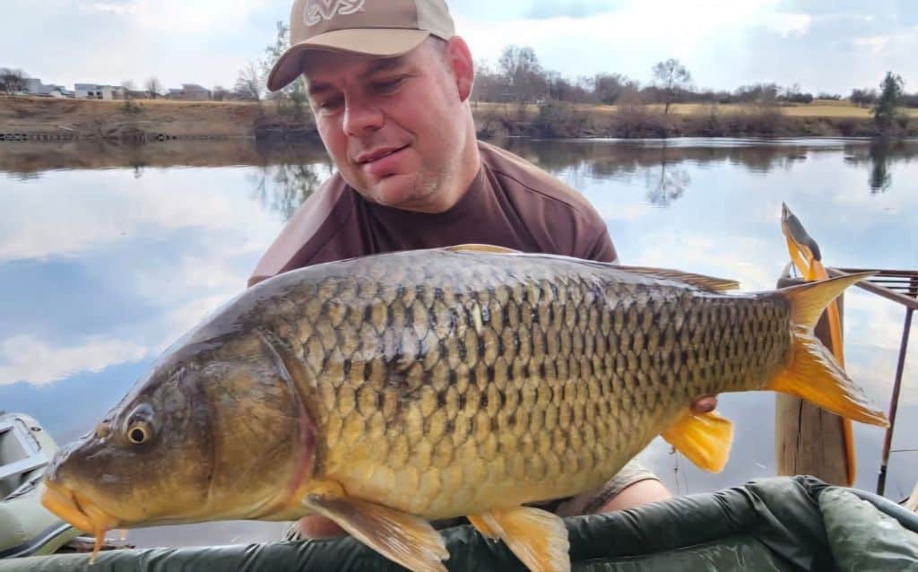 Internet_20250822_103803_34 – Magic Baits